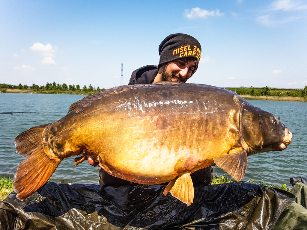 Galerija – CarpDreamLake.com
