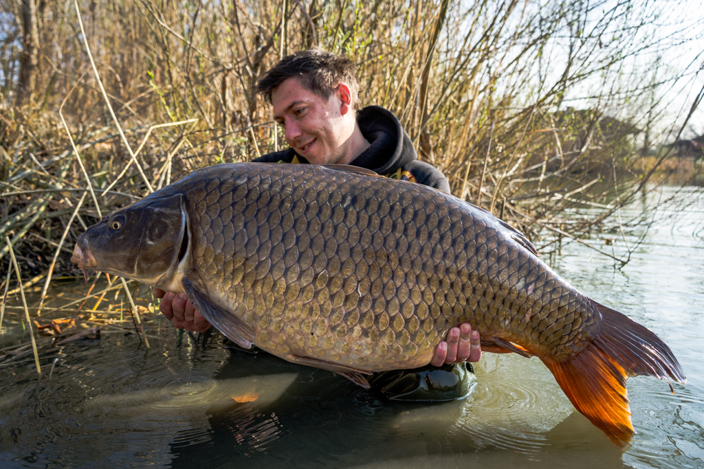 Galerija – CarpDreamLake.com