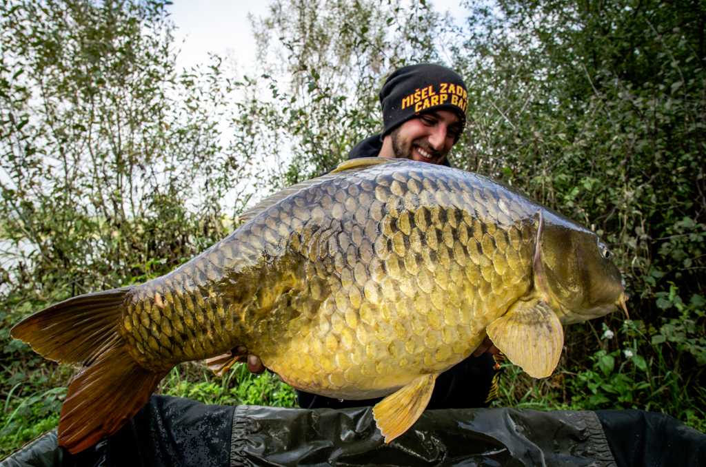 Galerija – CarpDreamLake.com